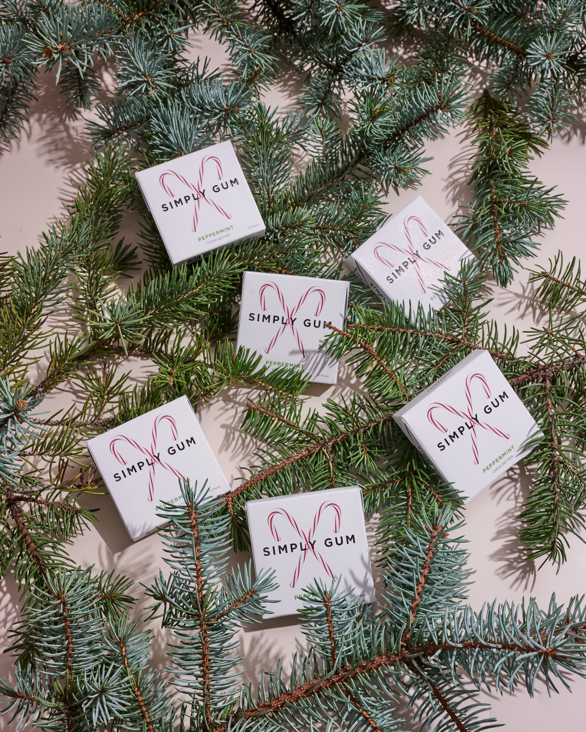 HOLIDAY GIFT GUIDE – Simply Gum